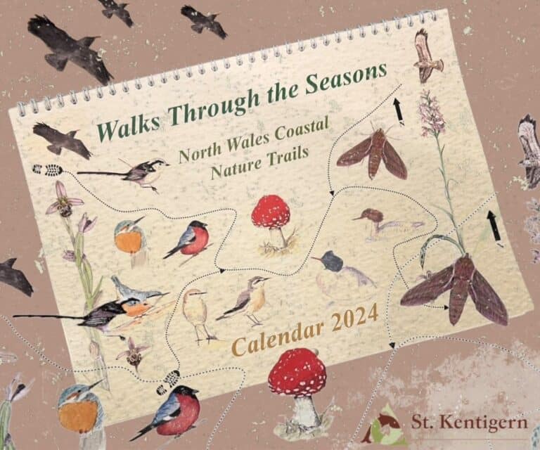 Our Walk Through the Seasons Calendar 2024 - St Kentigern Hospice